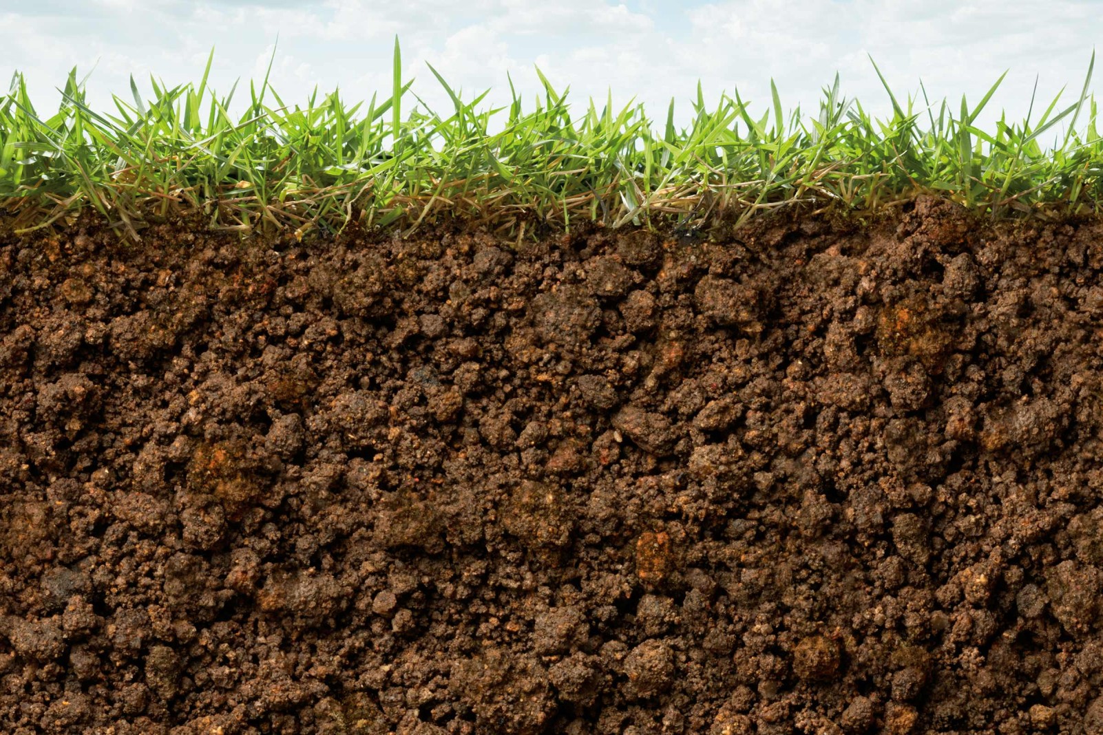 Tuinaarde kopen? .HORNBACH. Laagste prijsgarantie