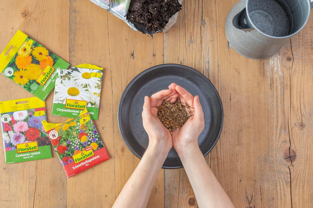 Zaden kopen? .HORNBACH/ Het grootste aanbod online!