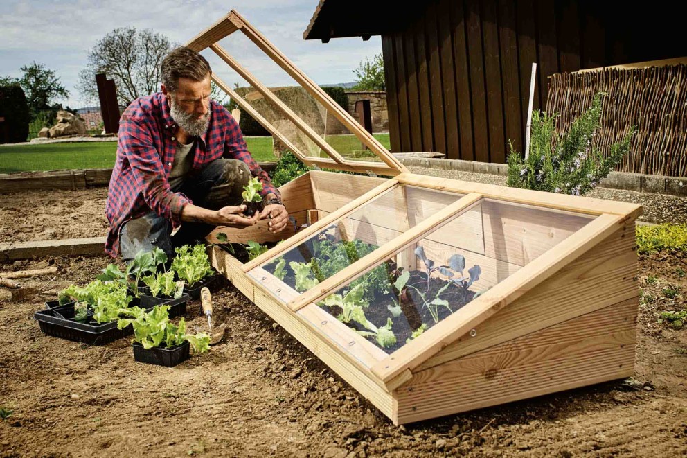 Moestuinbak kopen? . HORNBACH . Laagste Prijsgarantie