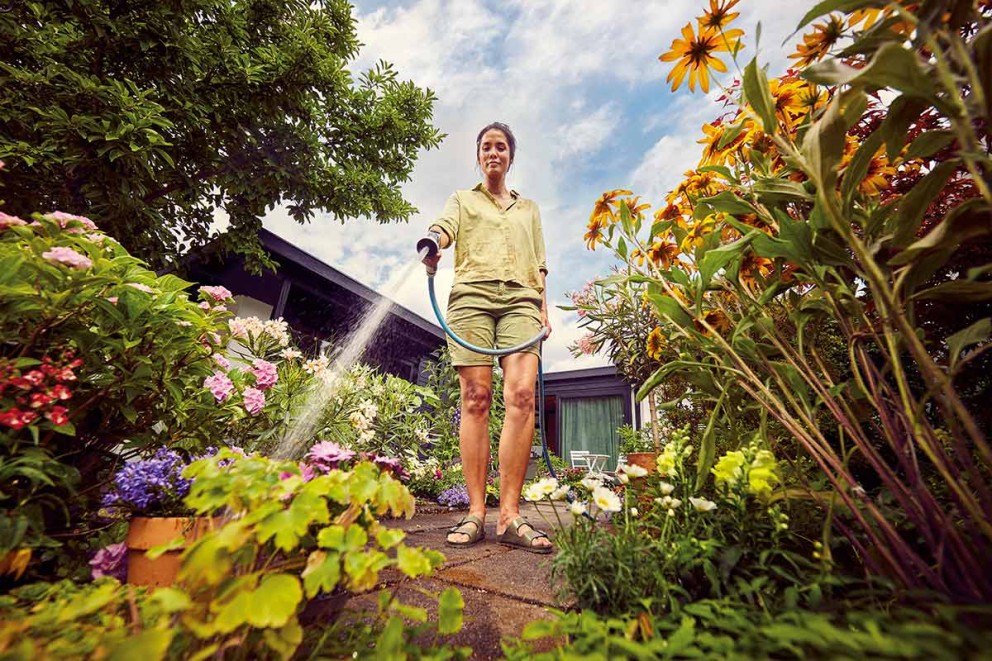 Planten verzorgen - info, tips en handleidingen van HORNBACH