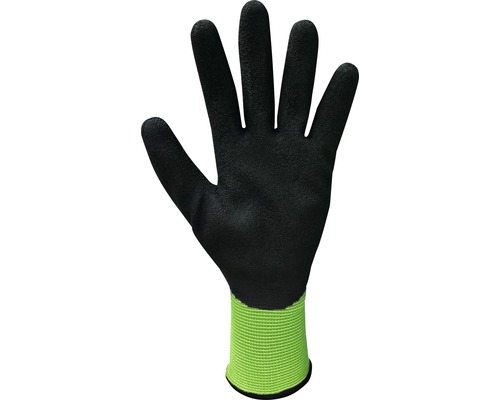 FOR_Q Handschoen easy XL groen kopen! | HORNBACH