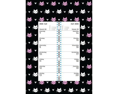 Weekkalender Katten 24x34 cm kopen! | HORNBACH