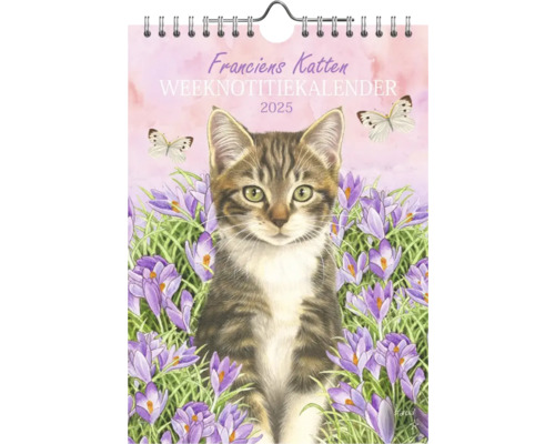 Weekkalender 2025 Franciens Katten 16x23 cm kopen! | HORNBACH